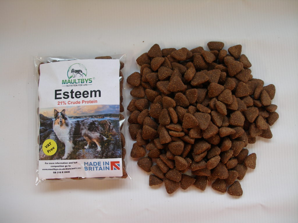 Esteem Maultbys Esteem, premium working dog food.